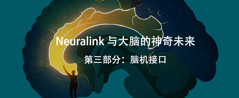 Neuralink与大脑的神奇未来 – 神经现实